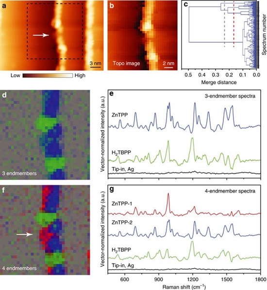 What is Tip-Enhanced Raman Spectroscopy (TERS)?