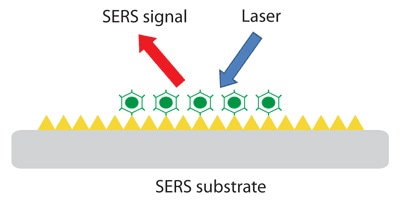The Development of SERS Substrates for Raman Spectroscopy