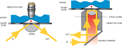 Total Internal Reflectance Fluorescence (TIRF) Microscopy ...